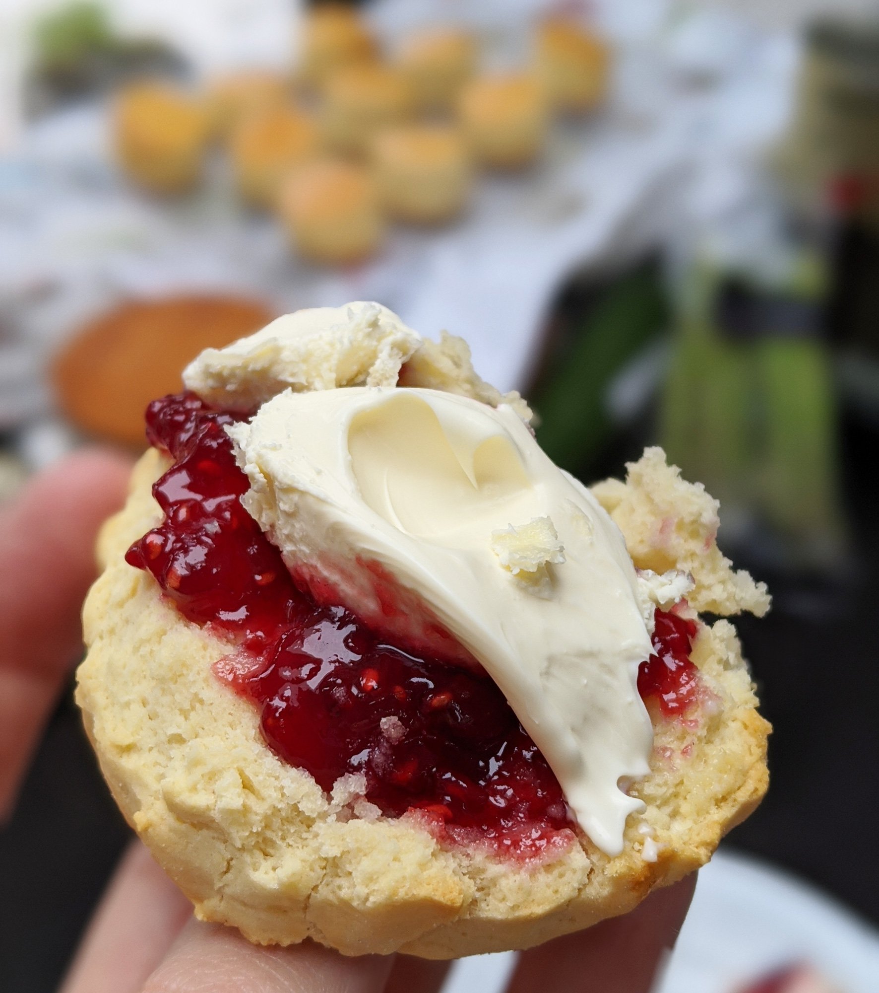 Gluten Free Scones (Fruit or Plain) Recipe