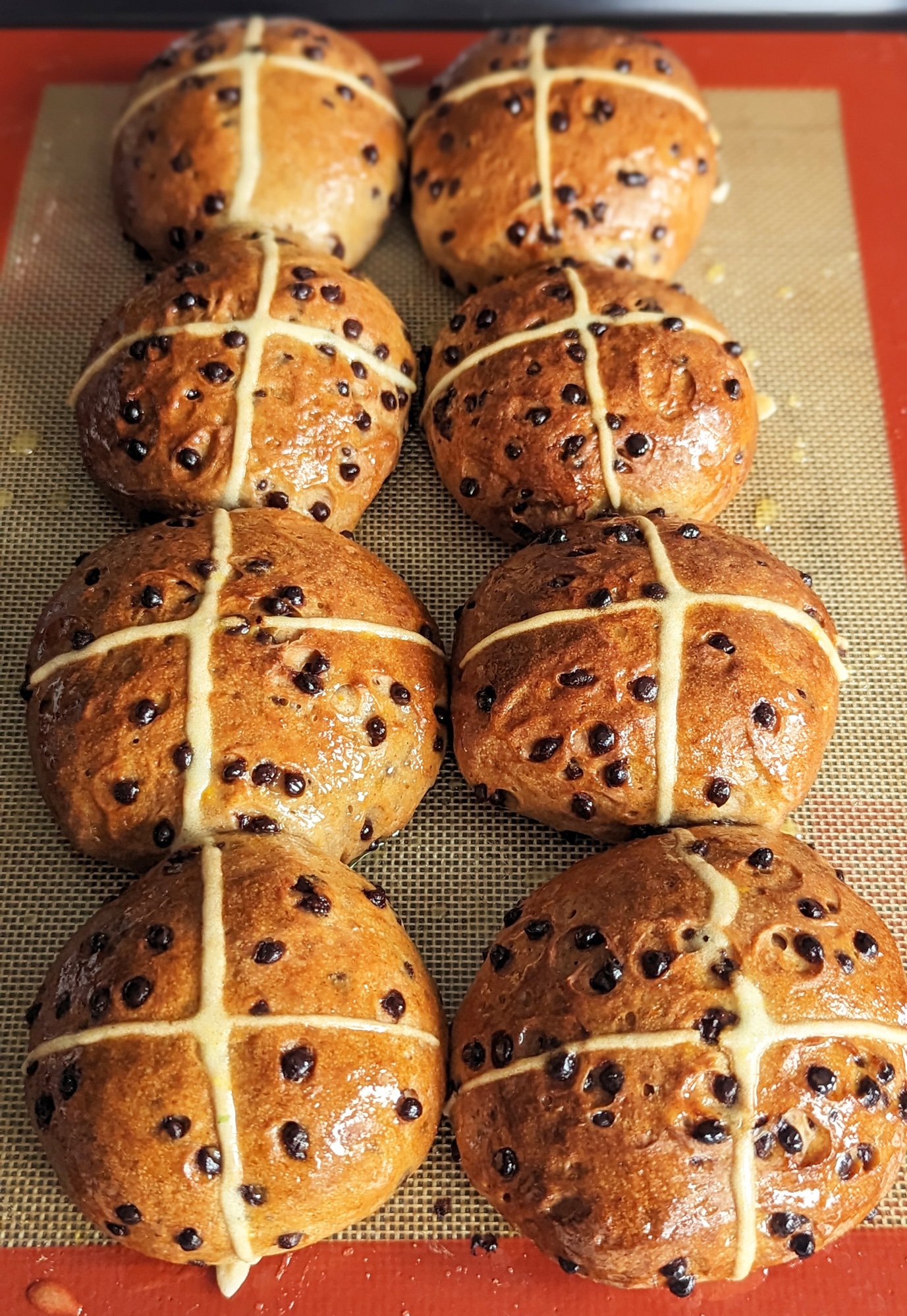 Chocolate Orange Hot Cross Buns (Gluten Free)